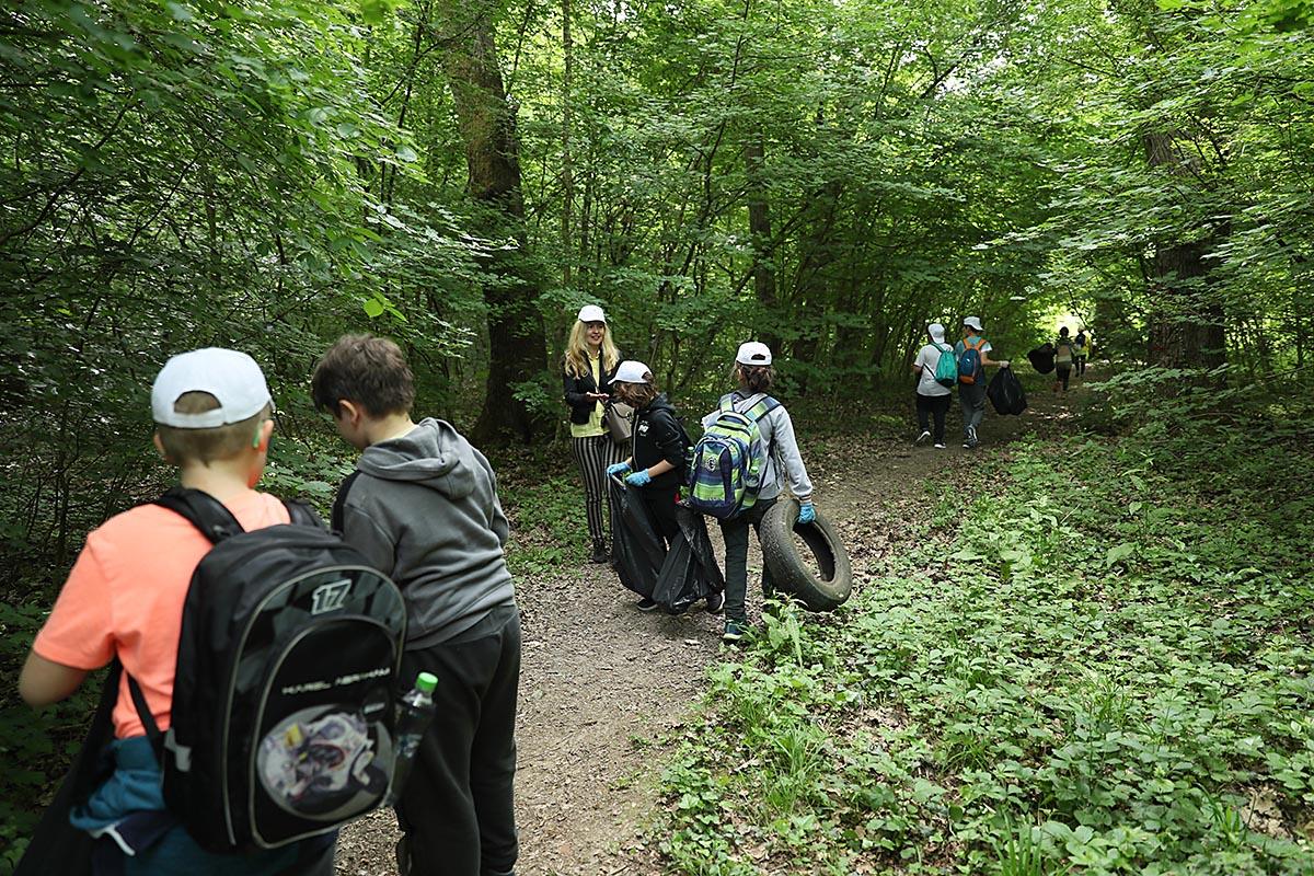 Ecologizarea padurii Baneasa - Reciclad'OR - Reciclează inteligent